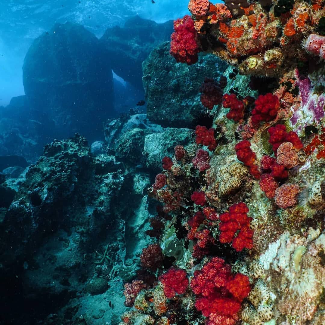 Seychelles hotel 4 stars - Coral Strand Hotel on Beau Vallon beach